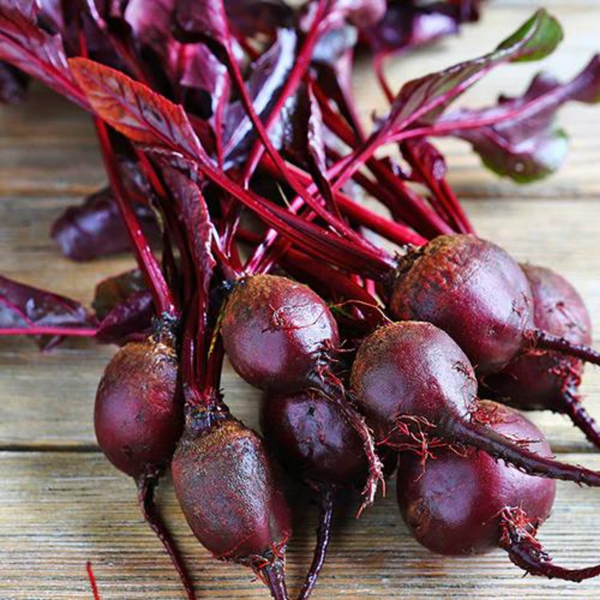 Beetroot Bull's Blood – Piccolo Seeds