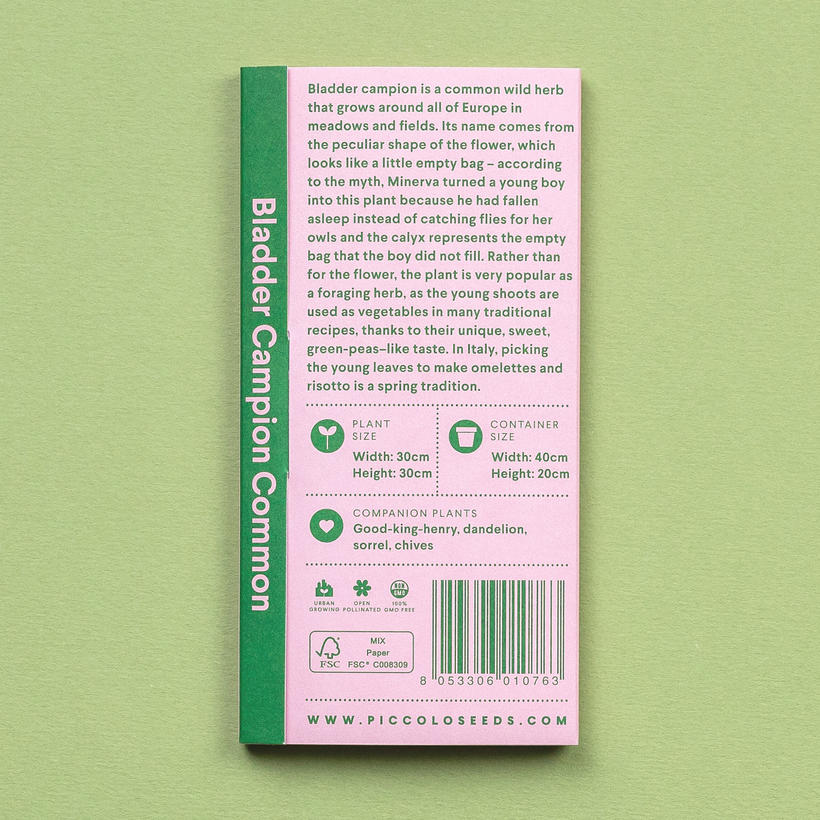 Bladder Campion Common – Piccolo Seeds