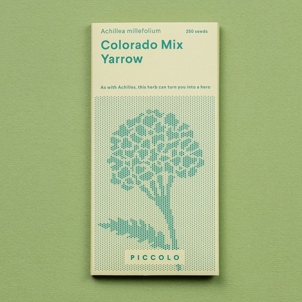 Yarrow Colorado Mix – Piccolo Seeds