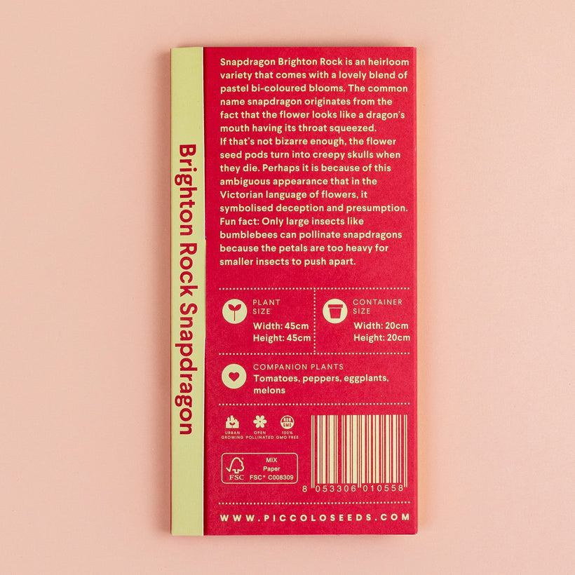 Snapdragon Brighton Rock – Piccolo Seeds