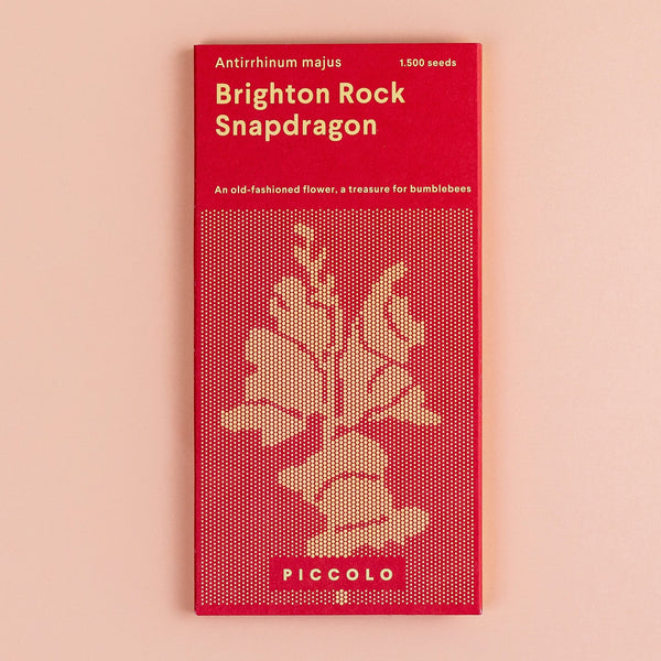 Snapdragon Brighton Rock – Piccolo Seeds